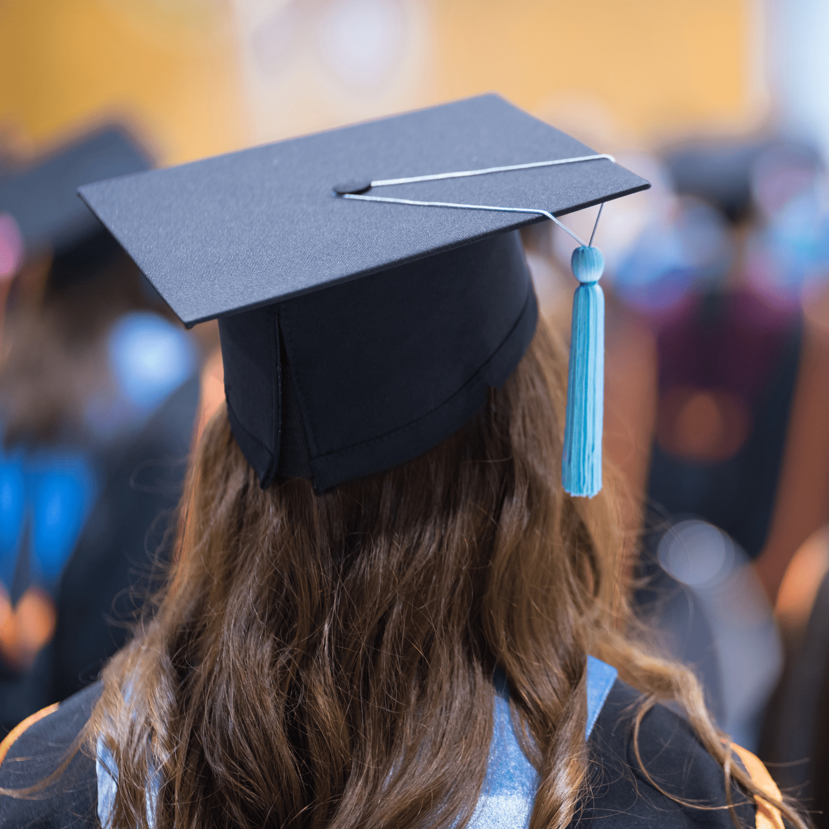 Uplifting a Community of Educators - Schultz & Williams