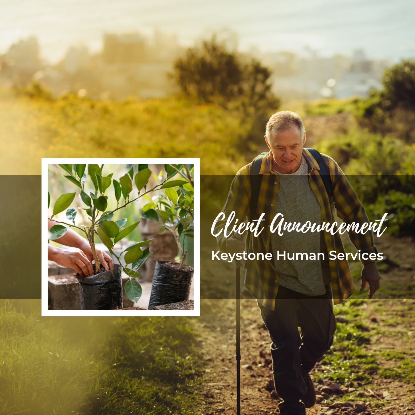 Keystone Human Services - Schultz & Williams