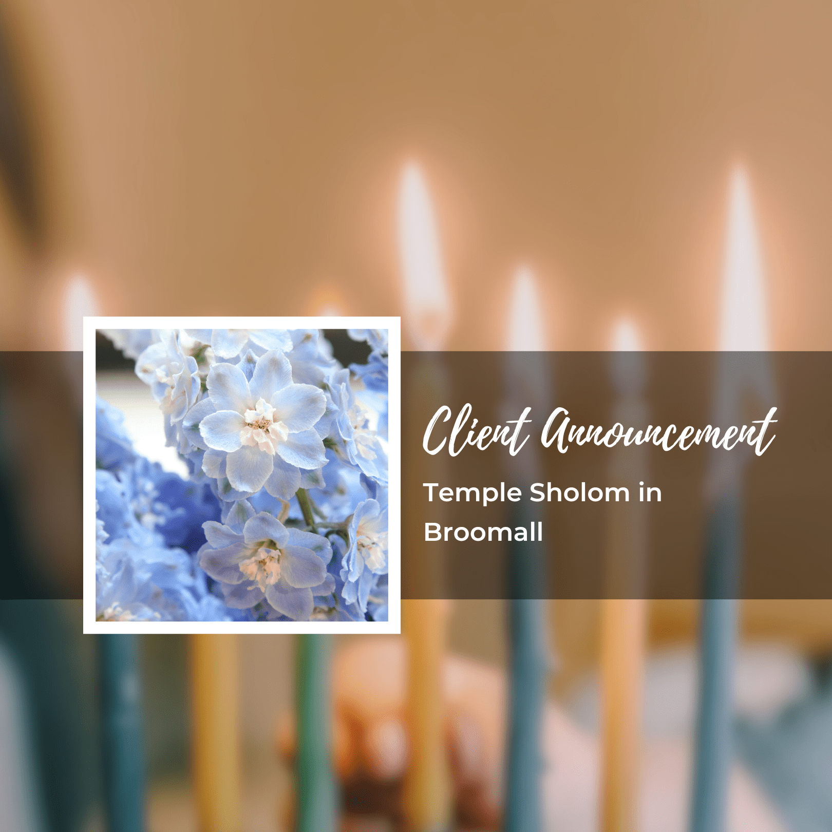 Temple Sholom - Schultz & Williams